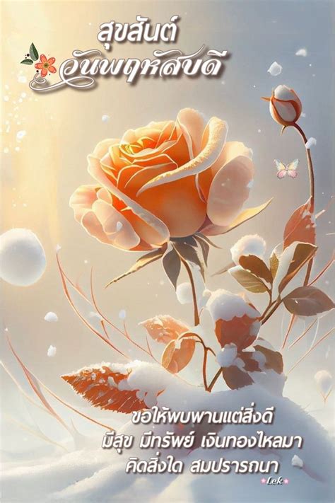 สุขสันต์ วัน พฤหัสบดี สวัสดีตอนเช้ากาแฟ สวัสดีตอนเช้า คำอวยพรปีใหม่