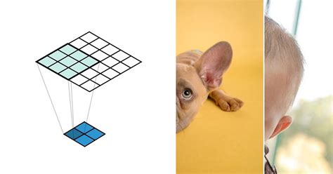 List Great Algorithms Curated By Yang Liu Medium List Great Algorithms Curated By Yang Liu Medium