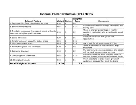 External Factor Evaluation Efe Matrix