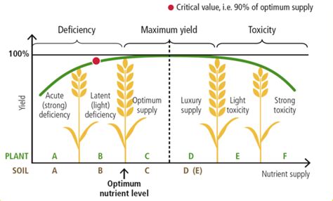 Effects Of Nutrient Rate On Wheat Yield Showing Potential Deficiency