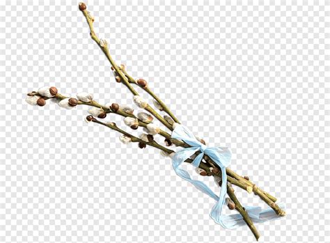 Twig Branch Branch Plant Stem Png PNGEgg