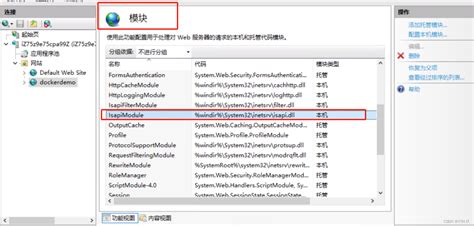 Iis部署问题之40314iis 40314 Csdn博客