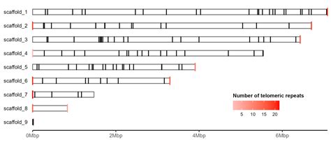 Marking Telomeres On A Simple Ideogram In R Rowena Hill