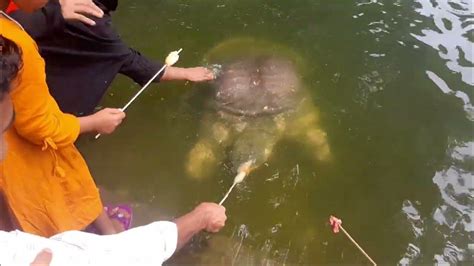 বায়েজিদ বোস্তামীর দরগা শরীফ চট্টগ্রাম সব মিলে দারুণ লাগল Youtube