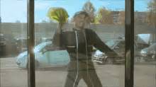 Window Washers Memes