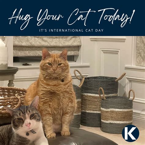 Kappa Computer Systems Llc On Linkedin Internationalcatday Cat