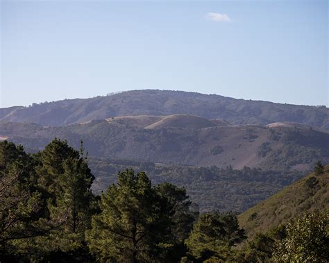 Gallery Tehama