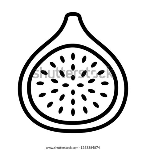 Common Fig Fruit Cross Section Seeds Stock Vector Royalty Free Shutterstock