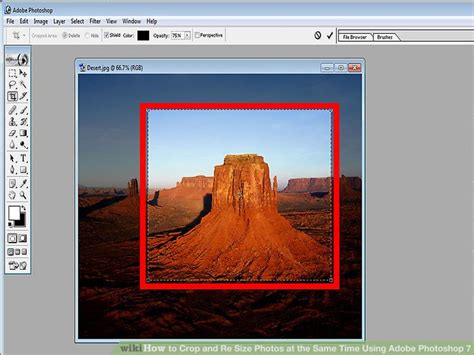 How To Crop And Re Size Photos At The Same Time Using Adobe Photoshop 7