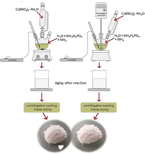 A Scheme Of Both Routes Of Hydroxyapatite Synthesis That Is Using Download Scientific Diagram
