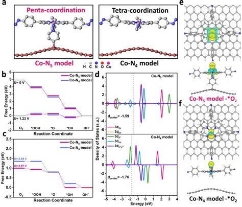A Dft Calculation Models Of Co N 5 And Co N 4 For Electrochemically