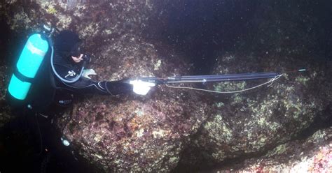 제주도 유어장 원초적 본능 수중사냥[박수현의 바닷속 풍경] 45