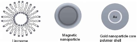 Types Of Nanostructures Commonly Used In Biomedical Applications