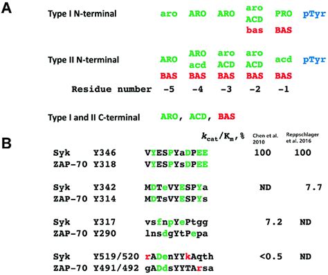 Tula 2 Substrate Specificity Determinants A Class I N Terminal Motif