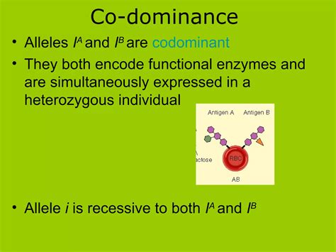 Extended Inheritance Patterns Ppt