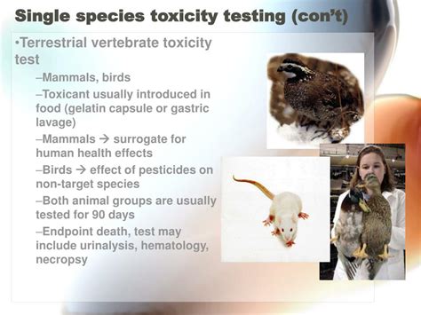 PPT Toxicity Test Methods PowerPoint Presentation Free Download ID