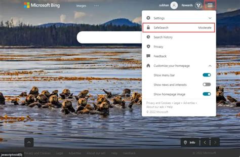 How To Enable Disable Safesearch On Device And Search Engines