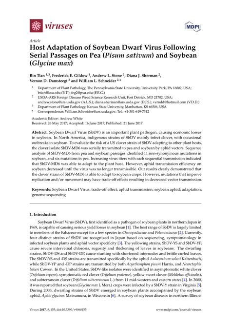 Pdf Host Adaptation Of Soybean Dwarf Virus Following Serial Passages