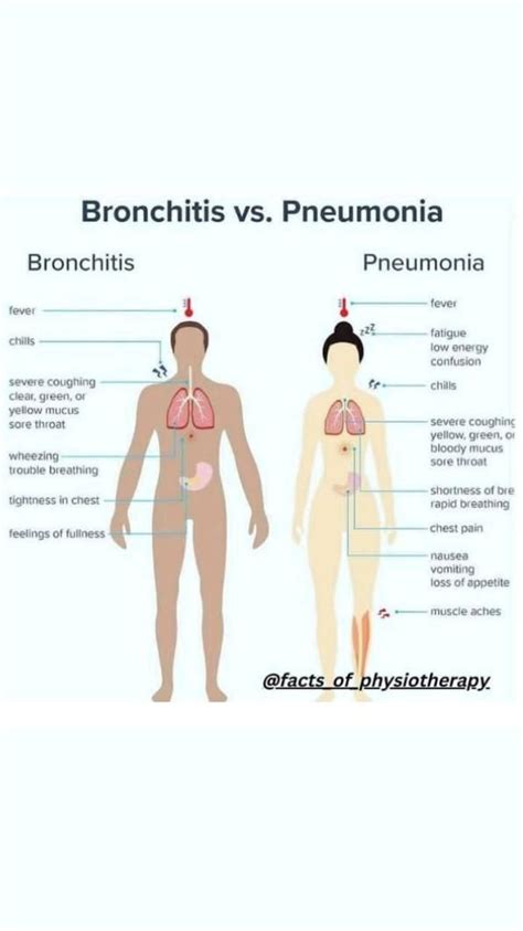 Bronchitis Vs Pneumoniacreditfacts Of Physiotherapy Medical