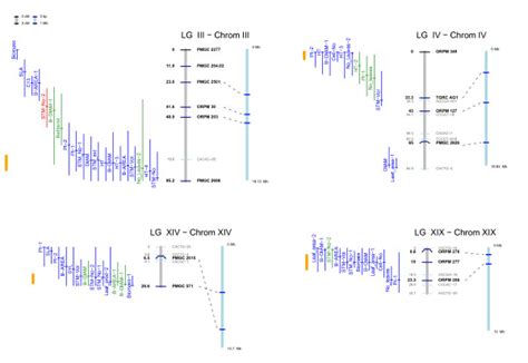 Qtl For Biomass Associated Physiological Traits Qtl Are Plotted Download Scientific