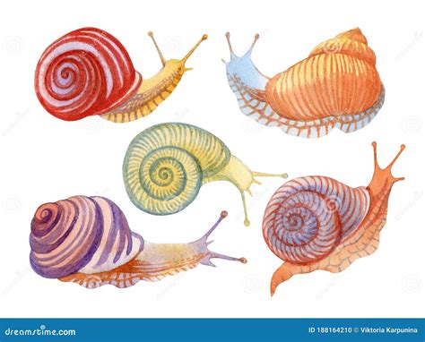 Hand Drawn Watercolor Set Of Colorful Snails Stock Illustration