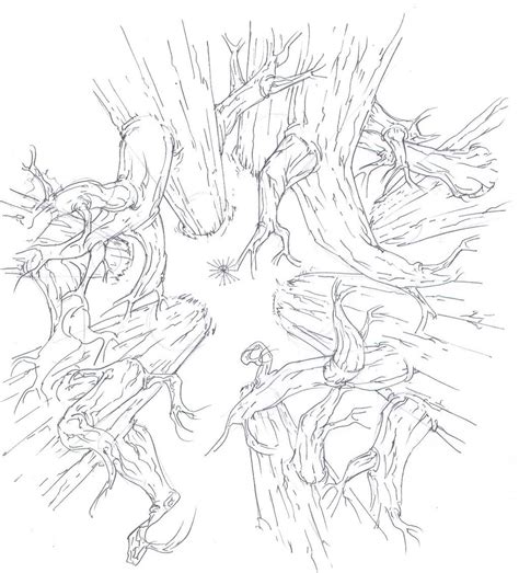 Birds Eye View Forest Trees Sketch Coloring Page