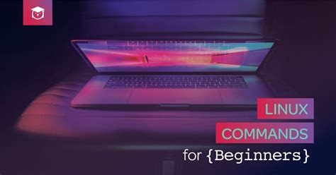 Linux Commands For Beginners Sudo Rcommandline