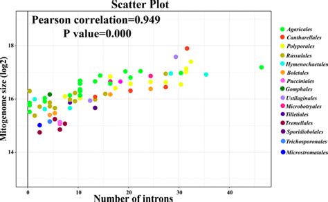 Pearson Correlation Analysis Between Mitogenome Sizes And Intron