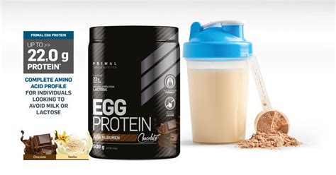 Understanding Protein Absorption Rates And Muscle Recovery