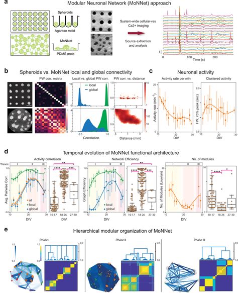Characterization Of Modular Neuronal Network Monnet Approach A