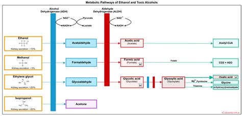 Acid Base Disorders In Critically Ill Patients A Systematic Approach Recapem