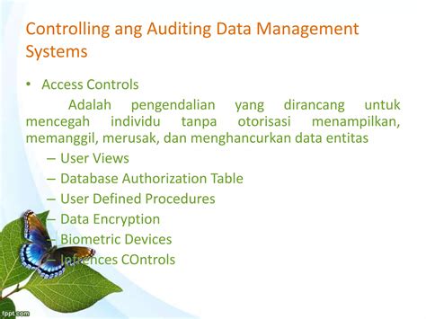 Auditing Database Systems Ppt