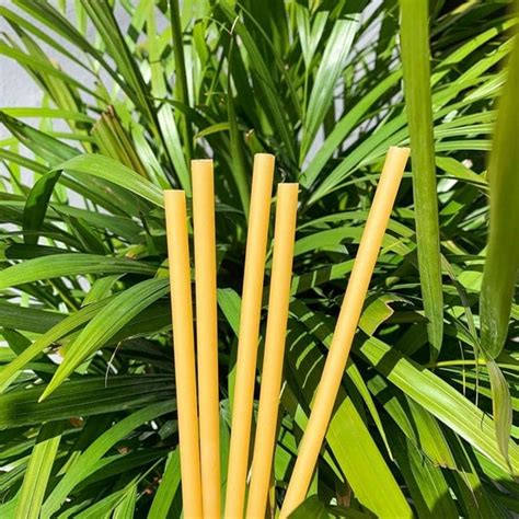 Stroodles 120 Rice Pasta Straws Rackhams