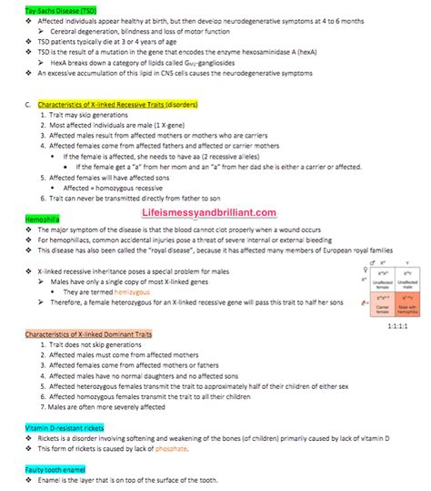 Lecture Notes Template Word New Professional Template