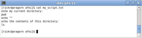 4 Basic Unix Light Intro To Shell Scripts — Afni Suma And Fatcat