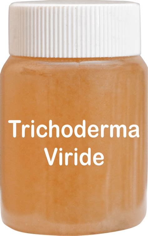 Trichoderma Viride At Best Price In Ankleshwar Gujarat Anbr Elixir
