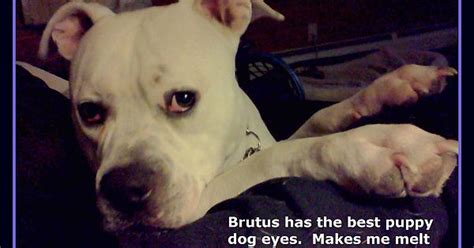 My Kryptonite Imgur My Kryptonite Imgur