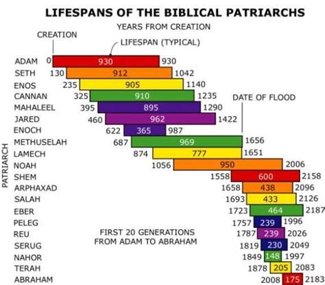 Chronology Chart From Adam To Abraham Biblical Patriarchs Lifespan