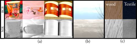 challenging cases for rgb only semantic segmentation in nir images a