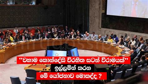 වහාම කොන්දේසි විරහිත සටන් විරාමයක් ඉල්ලමින් කරන මේ යෝජනාව මොකද්ද News Artical Hiru