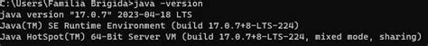 Startsonarbat Fail On Start With Java 17 Sonarqube Server