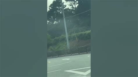 왕복4차선 도로의 회전교차로 사고의 원인이다 2~3년 내에 신호등 교차로로 변경하겠지 결국 예산 쓰기 ~ Youtube