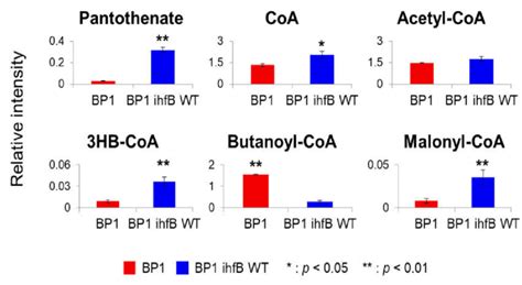 Metabolite Intensities Of Coa Related Compounds Bar Graphs Show