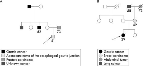 Germline Mutations Of The E Cadherincdh1 And Tp53 Genes Rather Than