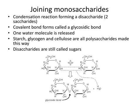 Lipids And Carbohydrates Ppt Download