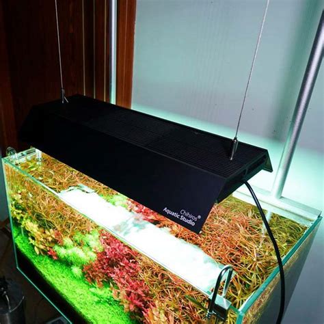 CHIHIROS Light Shade Aquarium Accessories – Shrimpoly