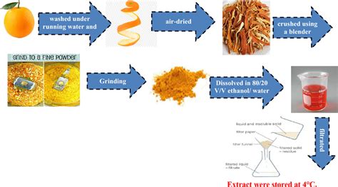 Preparation Of Orange Peel Extract Ope Download Scientific Diagram