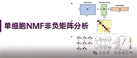 单细胞高分图片复现（独家代码附上）之系列八：单细胞nmf非负矩阵分析 知乎