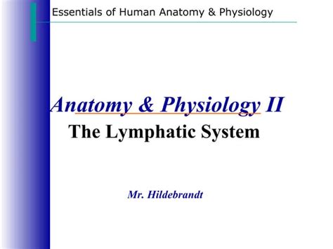 Lymphatic System Physiology Pptx Lymphatic System Physiology Pptx