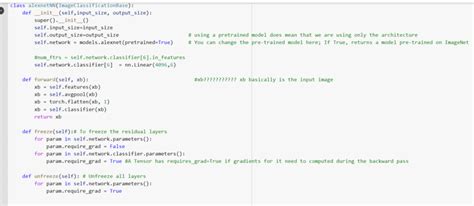 transfer learning using pytorch model gives output as none